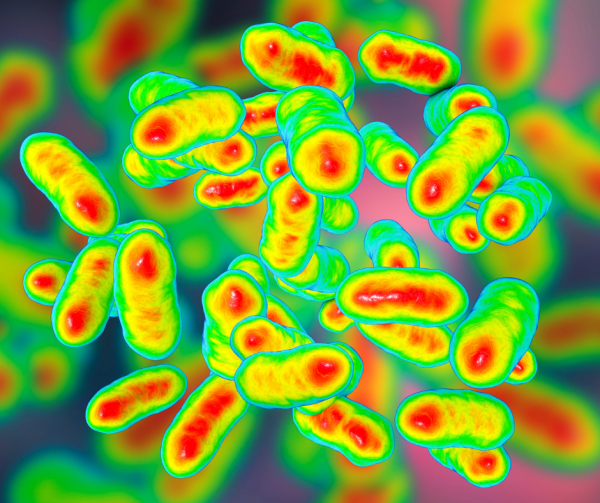 “The Microbiome Revolution in Rheumatology: Rethinking Immunity from the Inside Out” | UAG ...